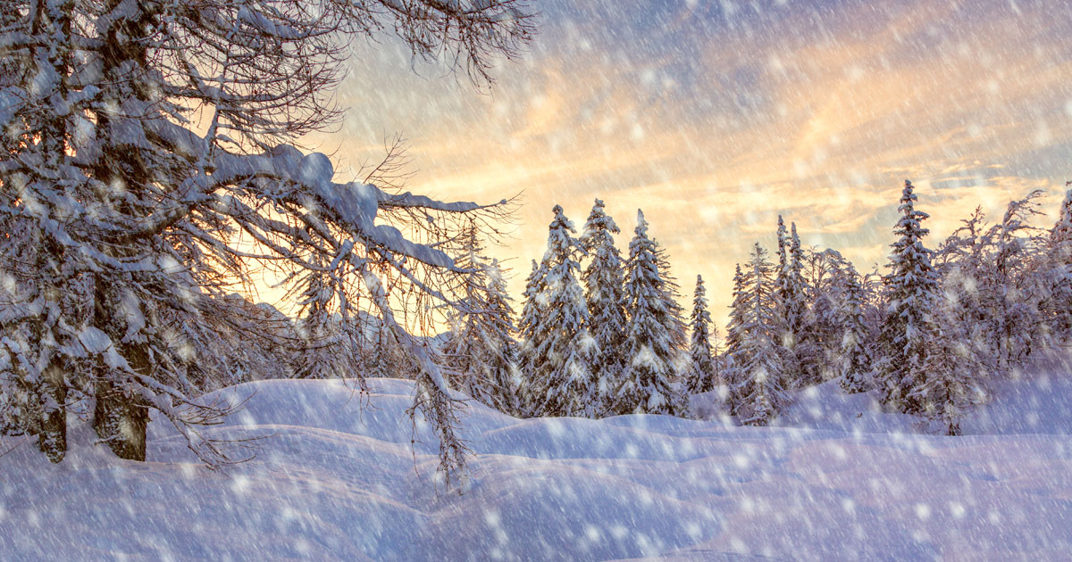 Winterscape - B.C.R. Fegan